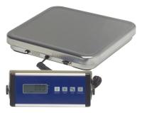 China 30Kg 60Kg 150Kg 300Kg 600 Kg Platform Scale Weighing Scale For Industrial Use for sale