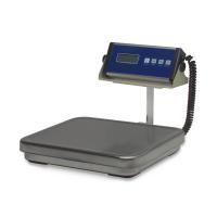 China Platform Scale 150kg 300kg Industrial Weighing Scale 50 Kg for sale