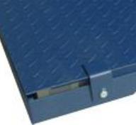 China FS Series Platform Scales: Heavy-Duty and Versatile Installation Options for sale