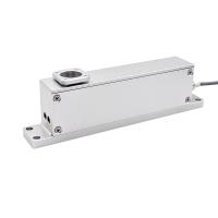 China WLSM-132 mg Level Precision Load Cell Module 30g-2kg For Medicine & Cosmetics for sale
