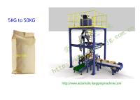 China DCS-25V Multi Scales Valve Bag Automatic Packing & Palletizing Machine Line for sale