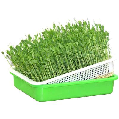 China Polystyrene Heat Preservation Seedling Trays 72 Cells Hydroponic Plant Nursery Pots for sale