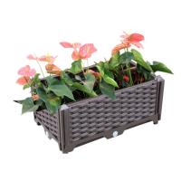 China PP Plastic Modular Planting Box for Balcony Garden Outdoor Vegetable Flower Pot 50x50x30cm for sale