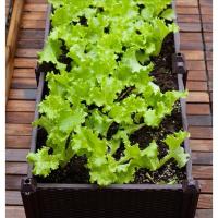 China PP Foldable Raised Garden Bed Planter Kit 40x40x26cm Custom Color for sale