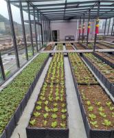 China Multifunction Elevated Plastic Planter Box For Vegetable Growing Weather Resistance for sale