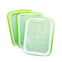 China Multicolor Breathable Hydroponic Seedling Tray 31cm Length Recyclable for sale