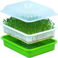 China Breathable Hydroponic Plastic Tray Custom Size Seedling Nursery Tray 50 Cells for sale