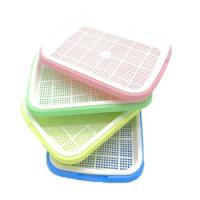 China Household Static Hydroponic Seed Sprout Tray Box 12.2 inch length for sale