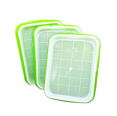 China 24.5cm Plastic Hydroponic Seed Sprouter Tray with Lid Anti Corrosion PP Nursery Tray for sale