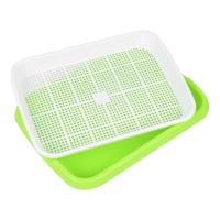 China 24.5cm Plastic Hydroponic Seed Sprouter Tray with Lid Anti Corrosion PP Nursery Tray for sale