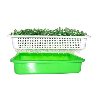 China Corrosion Proof Commercial Seed Sprout Tray 4.3 Inch High PP Plastic Different Sizes for sale