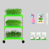 China PP Hydroponic Seedling Tray Stand 3 Tier Corrosion Resistant Indoor Plant Rack for Greenhouse for sale