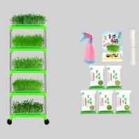 China PE Coated Seedling Tray Stand Mung Bean Sprouting Tray Environment friendly for sale