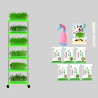 China PE Coated Seedling Tray Stand Mung Bean Sprouting Tray Environment friendly for sale