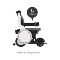 China KSM-910 CE Approved All Terrain Electric Mobility Scooter 350W Dual Motor 24V 70AH Lithium Battery for sale