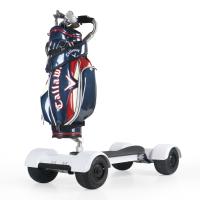 China KSM-930 Electric Golf Skateboard 60V 2000W Brushless Motor 4 Wheel Stand Up Cart with LCD Display for sale
