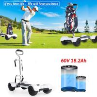 China KSM-930 Electric Golf Skateboard Cart 60V 2000W Brushless Motor 150kg Load for sale