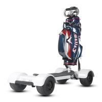 China KSM-930 Electric Golf Skateboard 60V 2000W Dual Motor Foldable 4 Wheel Scooter for sale