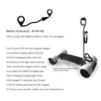 China KSM-930 Electric Golf Skateboard 60V 18.2Ah Lithium Battery 2000W Motor 4 Wheel Aluminum Alloy for sale