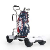 China Foldable Electric Golf Skateboard Cart 60V 2000W Four Wheel Mobility Scooter for sale