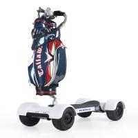 China CE Certificate Lightweight Mobility Scooters Electric Golf Buggy Scooter for sale