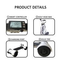 China CE Certificate Lightweight Mobility Scooters Electric Golf Buggy Scooter for sale
