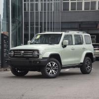 China Great Wall Tank 300 2.0T 227ps L4 Gasoline SUV 5 Seats AWD 8-Speed Manual for sale