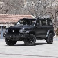 China Great Wall Tank 300 2.0T 227HP SUV Gasoline AWD 5 Seats 80L Fuel Tank for sale