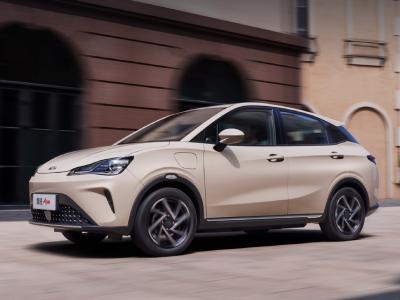 China 2024 NETA AYA 318 Lite Pure Electric SUV 5 Seats 318km Range Panoramic Sunroof for sale
