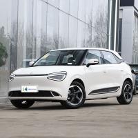China Dongfeng Nammi 01 2024 Electric EV Car 330km Range 31.45kWh Battery 5-Seat Hatchback for sale