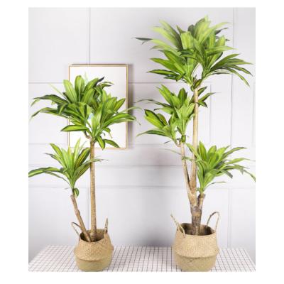 China Large Office Decoration Simulation Brazilian Wood Plant Artificial Forks Brazil Home Bonsai Plants Outdoor Tree Wedding Decor for sale