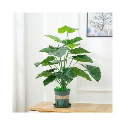China Simulation Of Small Potted Plants Indoor Decoration Floral Greenery Ornaments Floor Bonsai for sale