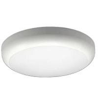 China 80lm/w Switchable Colours LED Ceiling Lights with Lithium Battery and Radar Sensor for sale