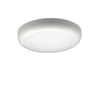 China IP20 Rated Ceiling Lights with Lithium Battery Radar Sensor and 1440lm Luminous Flux for sale