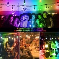 China Decoration Rgb S14 Led Holiday String Light For Multicolored LED Frequency 50Hz/60Hz for sale
