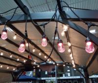 China Decoration Rgb S14 Led Holiday String Light For Multicolored LED Frequency 50Hz/60Hz for sale