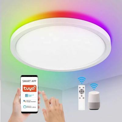 China Experience Superior Lighting with 30w Slim Smart LED Ceiling Light Middle Size for sale