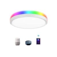 China Lighting Solutions Service 30w Slim Tuya WiFi Smart LED Ceiling Light No DIY Required for sale