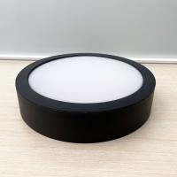 China 60w LED Round Panel 400mm Modern White Ceiling Light with Hongli/SanAn SMD2835 LED Chip for sale