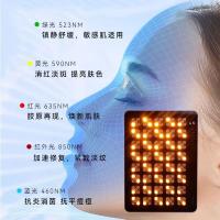 China Large Row Lamp Home Beauty Device with Full Body Skin Rejuvenation LED Photon Mask for sale