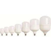 China Manual Button Switch Mode 20w 30w 40w 50w 60w T Bulbs for Home Furnishing Lighting for sale