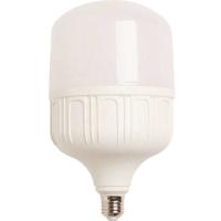 China Manual Button Switch Mode 20w 30w 40w 50w 60w T Bulbs for Home Furnishing Lighting for sale