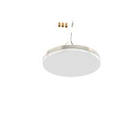 China 2700K Soft Warm White Home-made 21W 5CCT 13inch LED Ultra Slim Ceiling Light CL-E1321 for sale