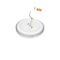 China 2700K Soft Warm White Home-made 21W 5CCT 13inch LED Ultra Slim Ceiling Light CL-E1321 for sale