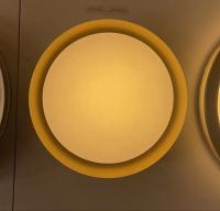 China Mid-century Modern Room Decor 12in/14in/16in LED Ceiling Light with 5CCT or 1CCT DIM for sale