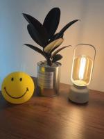 China Artistic Gifts Atmosphere Table Lamp Modern Design Night Light and Mosquito Repellent for sale
