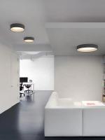 China Room Decor LED Ceiling Light Middle Sizes 12in/14in/16in for Indoor Mid-century Modern for sale