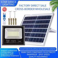 China Lamp Luminous Flux lm 300lm-800lm IP65 Solar Charging Floodlight for Outdoor Timing Switch for sale