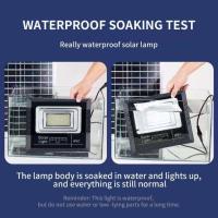 China Lamp Luminous Flux lm 300lm-800lm IP65 Solar Charging Floodlight for Outdoor Timing Switch for sale