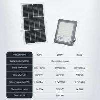 China AC 165-265V Input Voltage Solar Floodlight for Garden Timing Switch 30000 Hours Lifespan for sale
